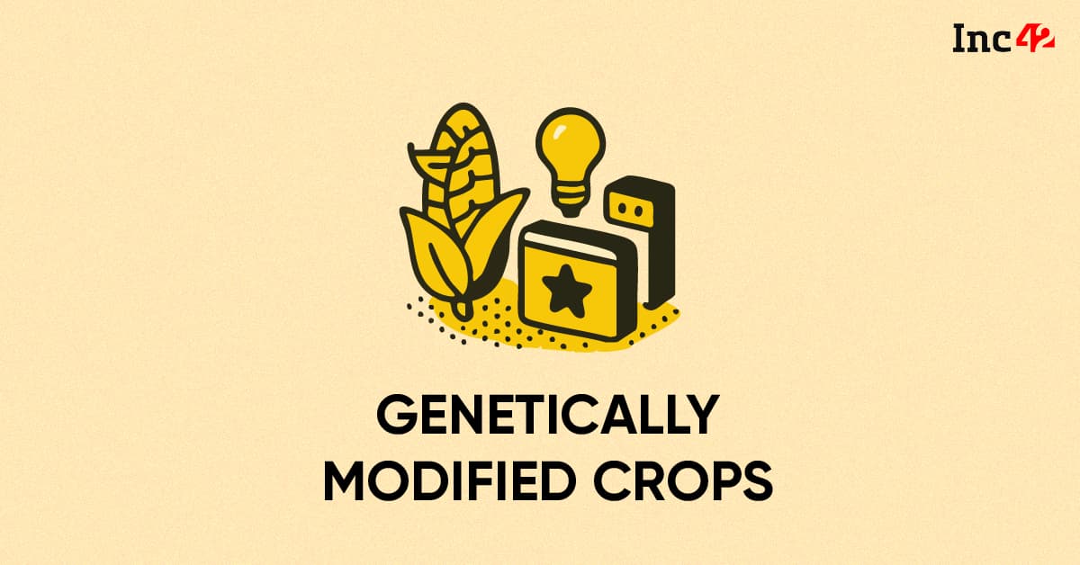 Genetically Modified Crops Archives - Inc42 Media