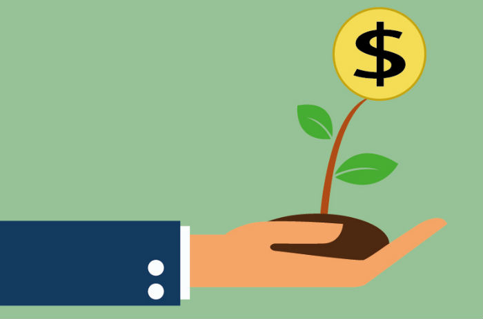 Top 5 Tips for a Startup to Raise Capital