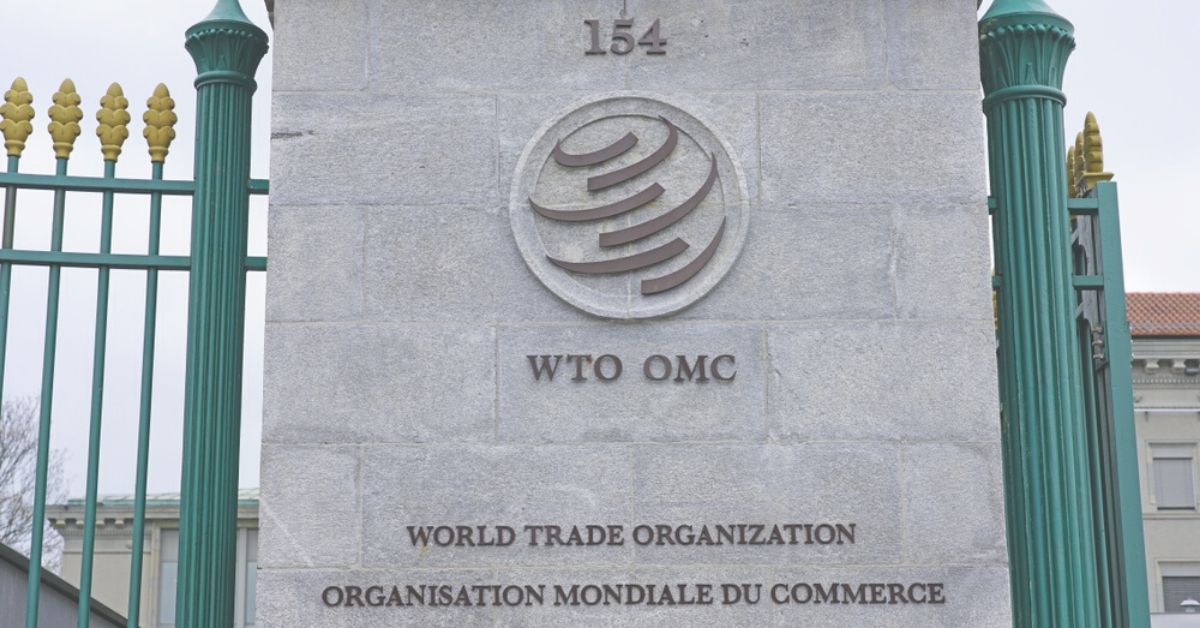WTO Calls For Ecommerce To Revive MSME Trade in Developing Nations