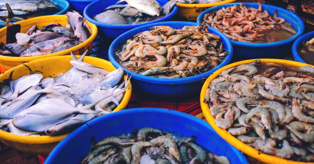 Captain Fresh: 10 Key Things You Must Know