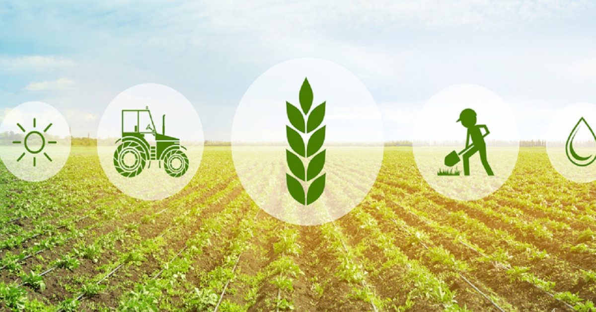 Exclusive: Agritech Startup AgroStar To Raise $7 Mn From Accel, Others