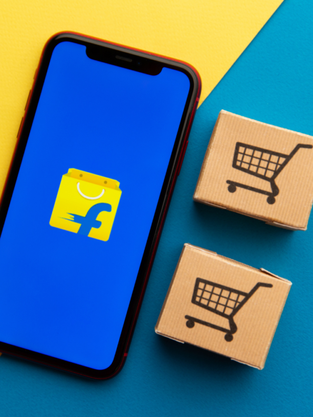 How Does Flipkart Internet Make Money?