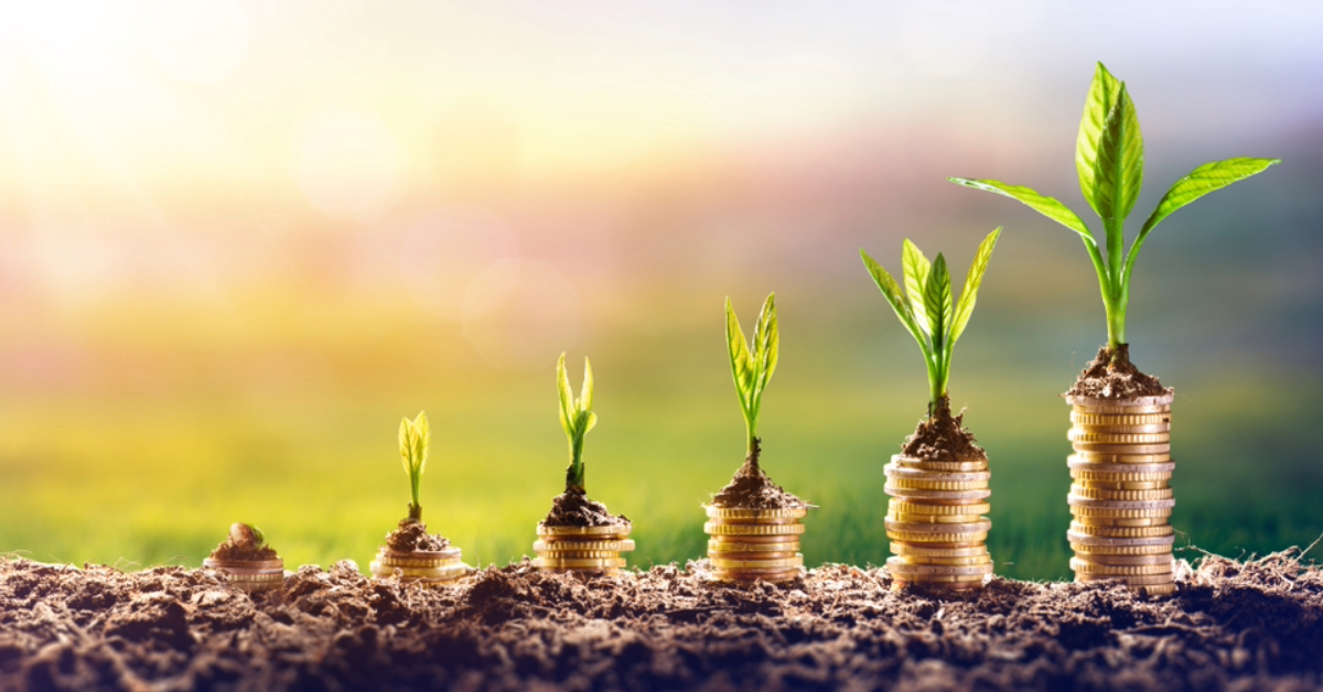 5 Key Principles Of VC Investment