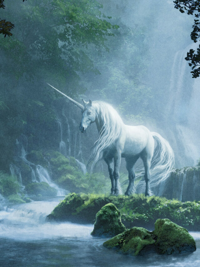 Which Startup Sector Will Mint The Most Unicorns In India?